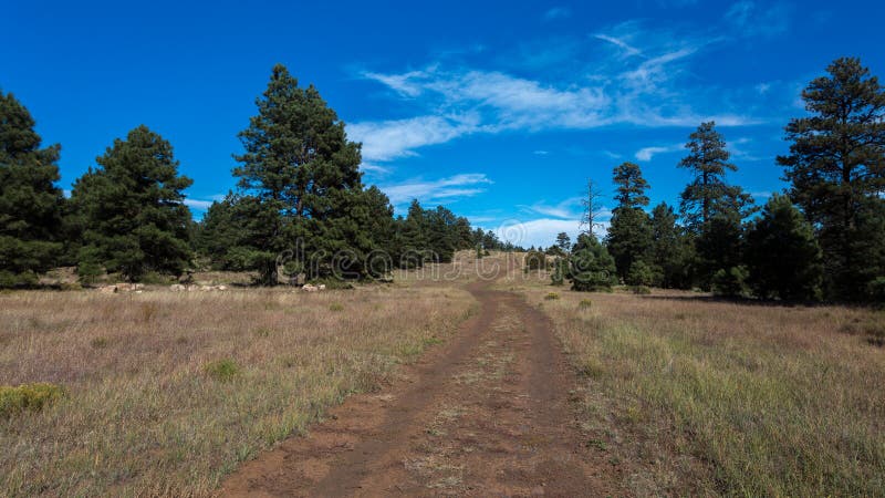 Open Road stock photo. Image of crash, jams, road, arching - 78890234