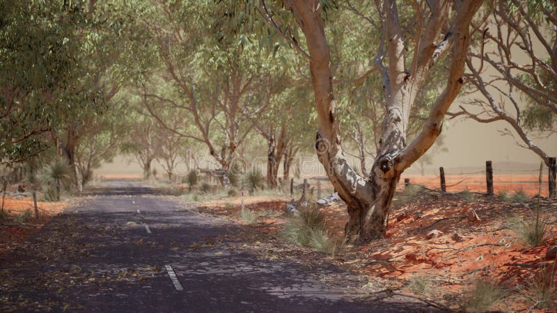 Open Road in Australia with Bush Trees Stock Image - Image of cloud ...