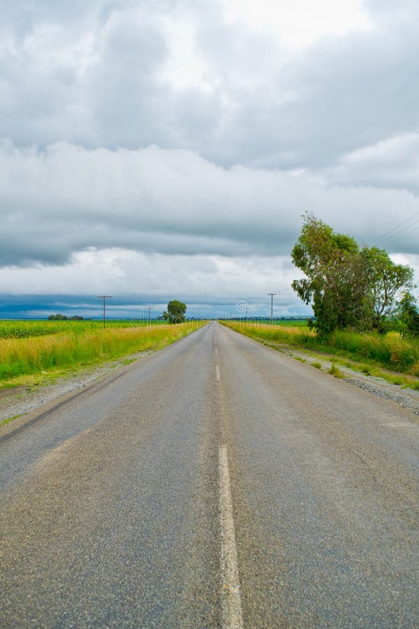 Open Road Beneath a Cloudy Sky between Sunflower Fields Stock Image ...