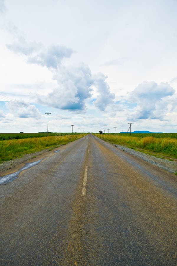 Open Road Beneath a Cloudy Sky between Sunflower Fields Stock Photo ...