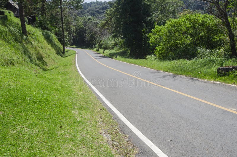 An Open Road in the Forest on a Mountainside Stock Photo - Image of ...