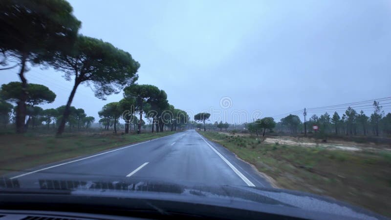 Open Road View from the Windshield of a Moving Car Stock Footage ...