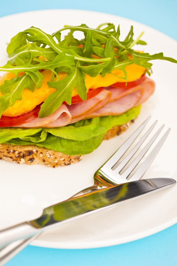 Open Sandwich with Melted Cheese Stock Photo - Image of cuisine ...