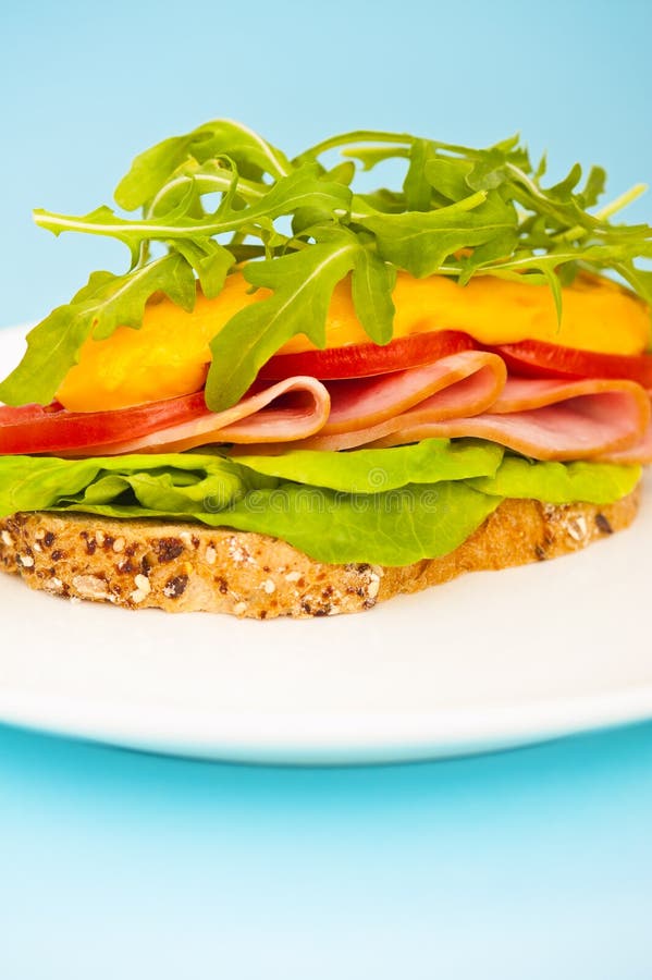 Open Sandwich with Melted Cheese Stock Photo - Image of bread ...