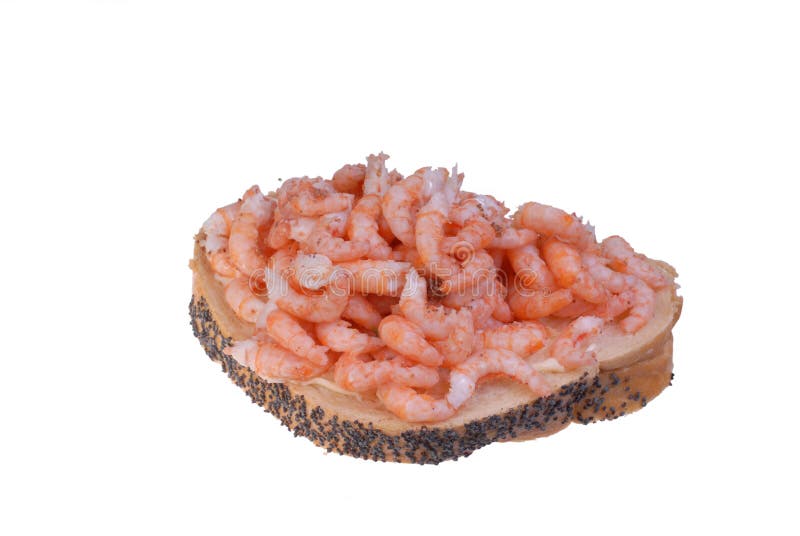 Open sandwich with Shrimps stock photo. Image of nutrition - 15350328