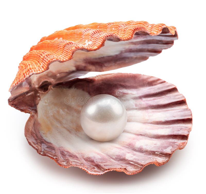 Pearl Inside Seashell Isolated on White Background. Generative AI Stock ...