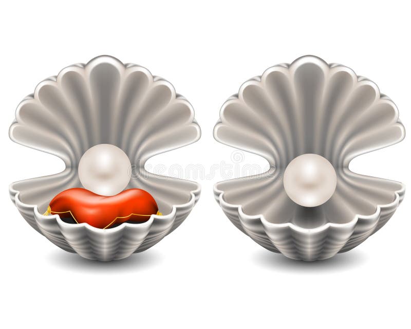 Open seashell with pearl stock vector. Illustration of seashell - 23170147