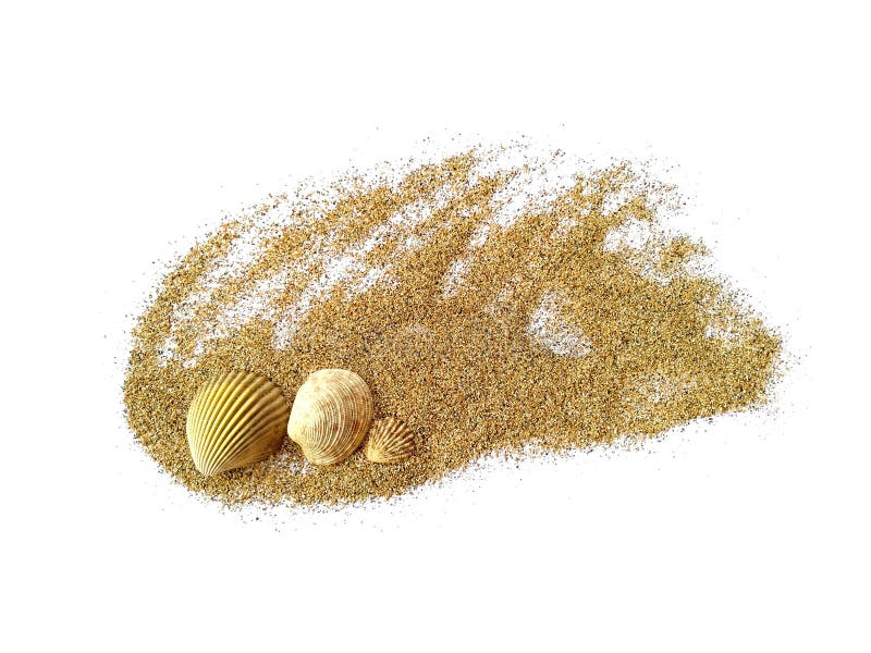 Open Shell with Pearl Isolated on Sand Beach Stock Photo - Image of ...