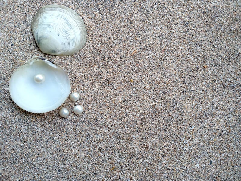 Open Shell with Pearl Isolated on White Background Stock Image - Image ...