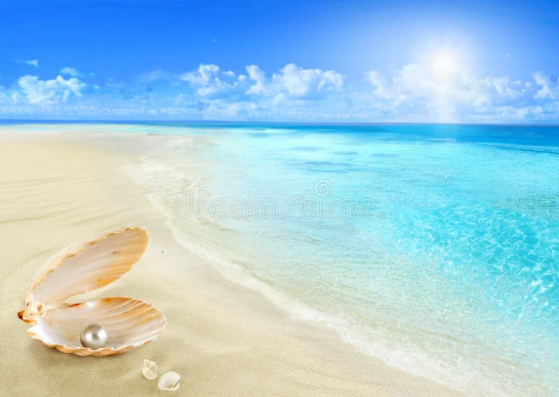Open shell with the pearl. stock photo. Image of leisure - 73540906