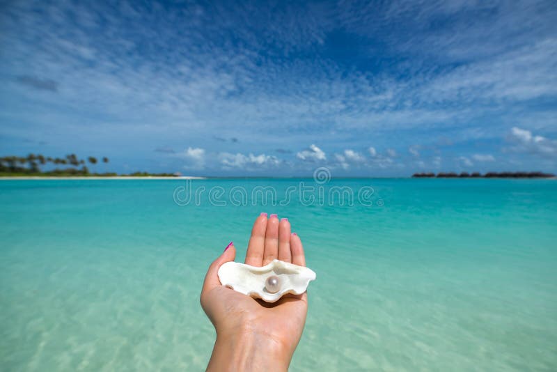 Shell with a pearl stock photo. Image of coast, dream - 15621088