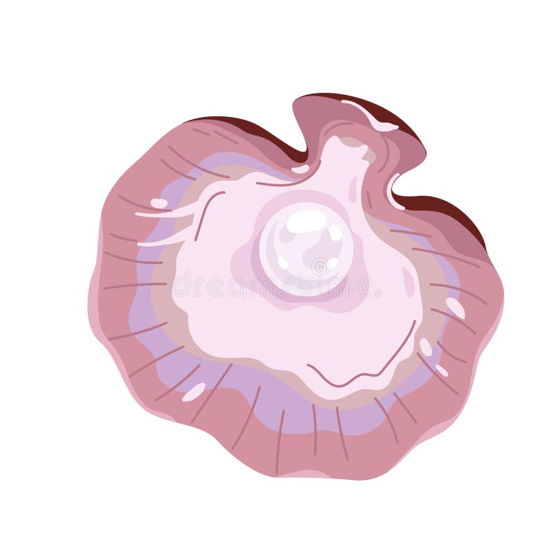 Open Shell with White Pearl and Flaps. Beige Half Open Shell Doors with ...