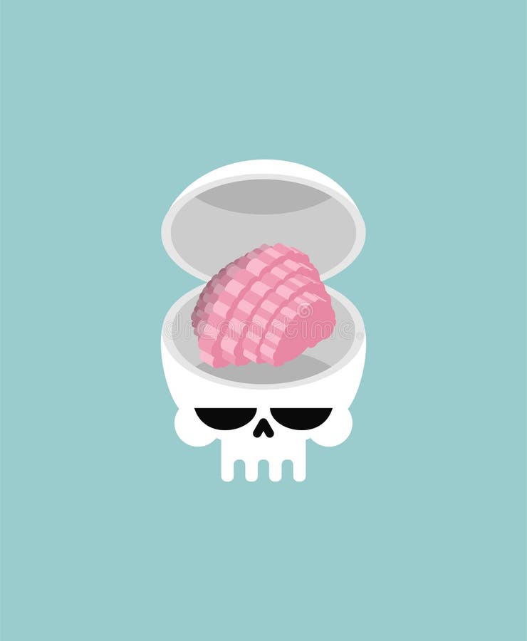 Open Skull and Brain Isolated. Vector Illustration Stock Vector ...