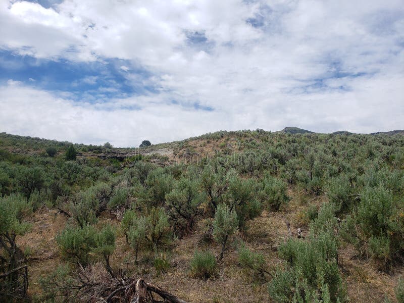 Desert Plain stock image. Image of brown, arizona, sunset - 12418195