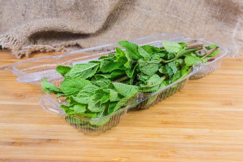 Open Small Plastic Container with Fresh Mint Close-up Stock Photo ...