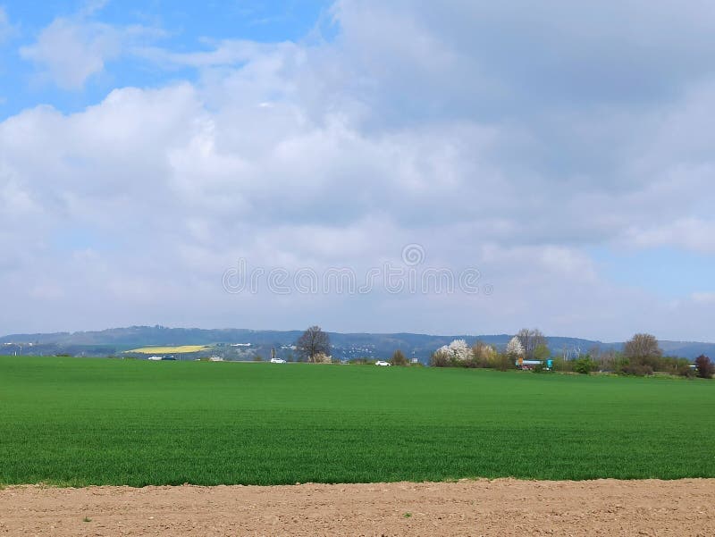 Open Space in the City. Well-groomed Fields with Power Lines Stock ...