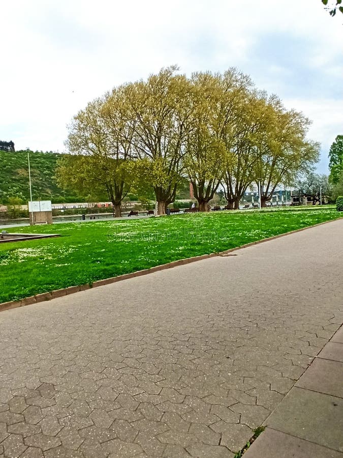 Open Space in the City. Well-groomed Fields with Power Lines Stock ...