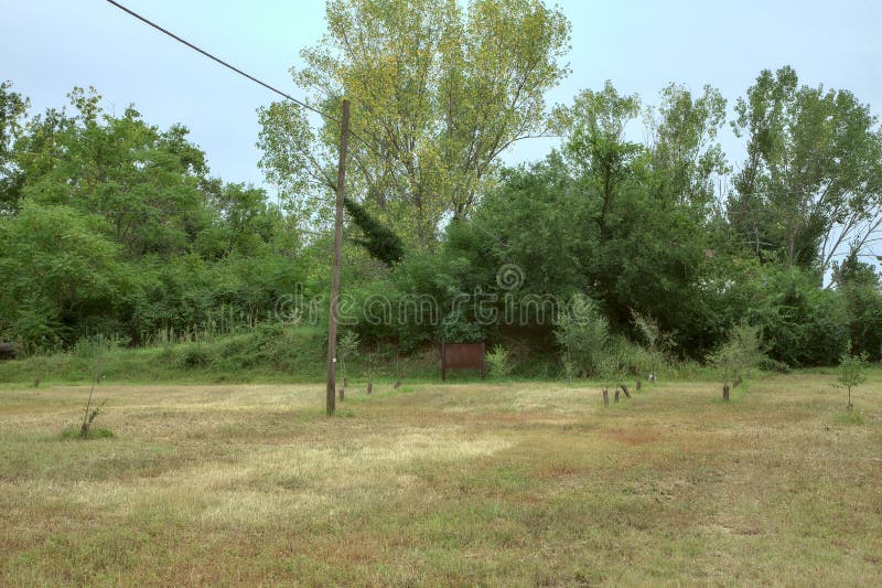 Open Space in the Countryside with Young Trees on a Cloudy Day in ...