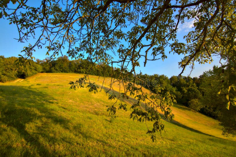Open Space in a Field on a Hill Slope at Sunset Stock Image - Image of ...