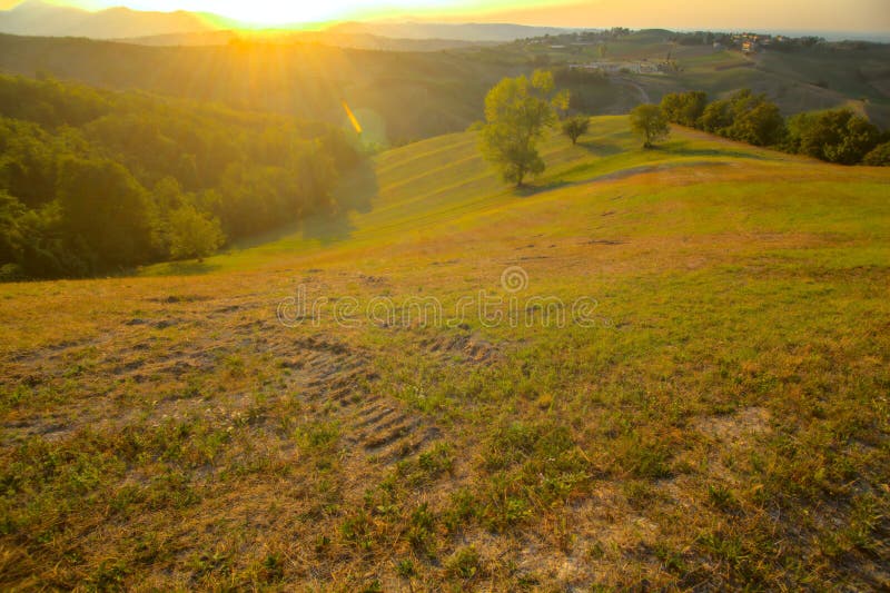 Open Space in a Field on a Hill Slope at Sunset Stock Image - Image of ...