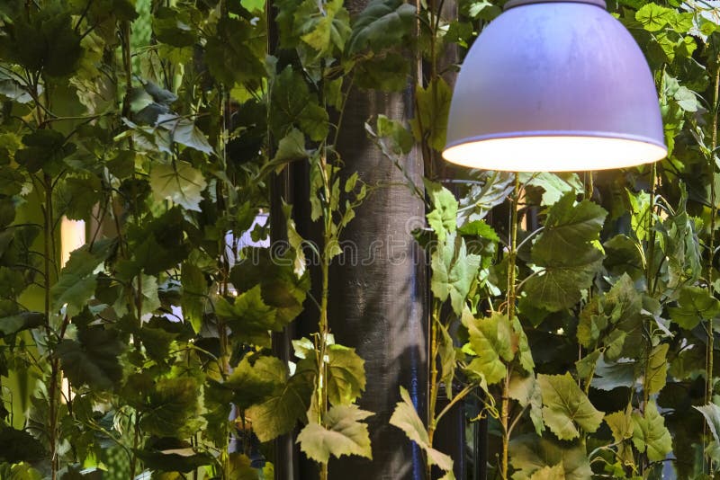 Open Space with Greenery in a Modern Office. Color Stock Photo - Image ...