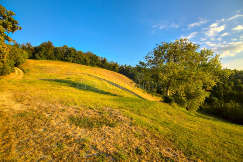 Open Space on a Hill Slope with Trees at Sunset Stock Photo - Image of ...
