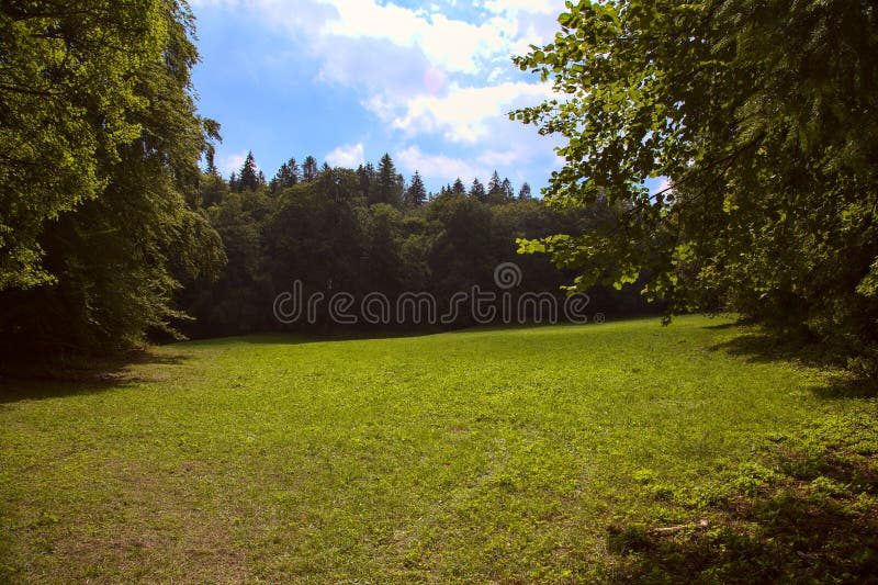 Open Space in the Mountain Framed by Trees Stock Image - Image of green ...