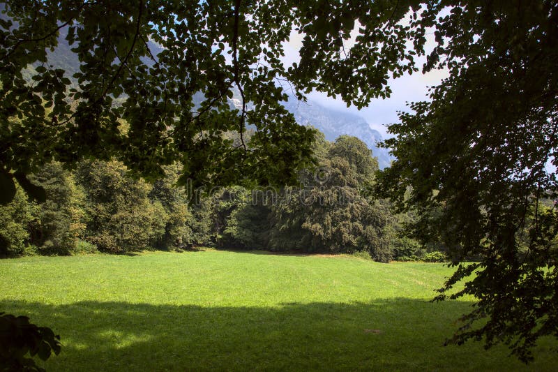 Open Space in the Mountain Framed by Trees Stock Image - Image of ...