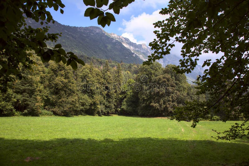 Open Space in the Mountain Framed by Trees Stock Photo - Image of ...