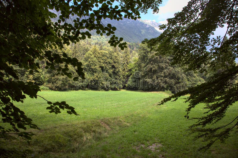 Open Space in the Mountain Framed by Trees Stock Image - Image of ...