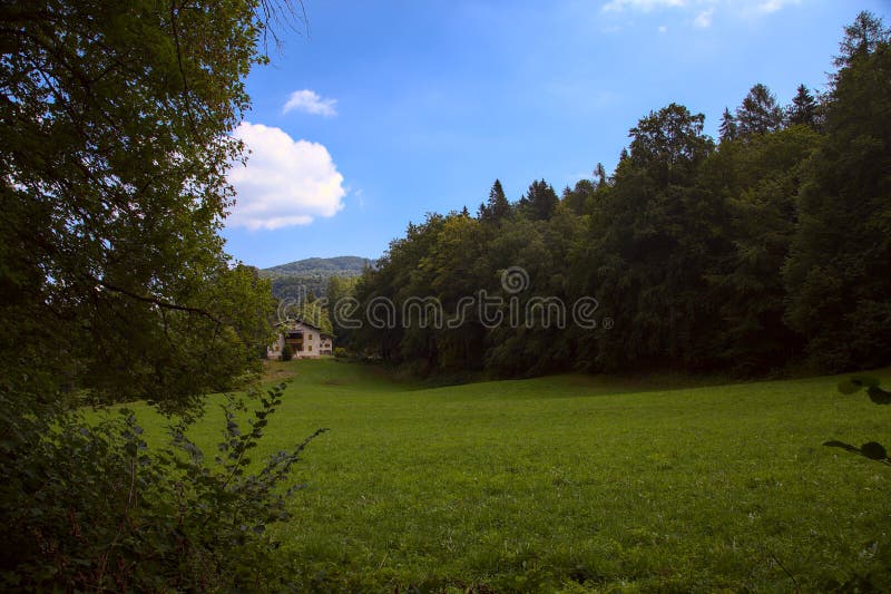 Open Space in the Mountain Framed by Trees with a House in the Distance ...