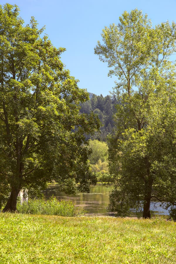 Open Space Next To the Shore of a Mountain Lake with Trees and Reeds ...