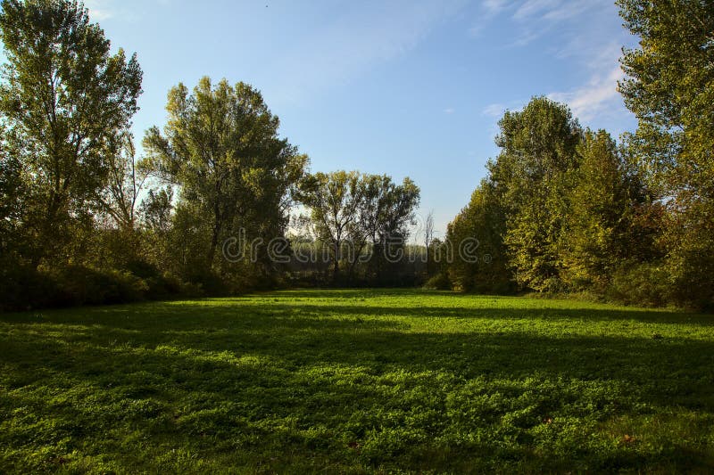 Open Space in a Park in Autumn in the Morning Stock Image - Image of ...