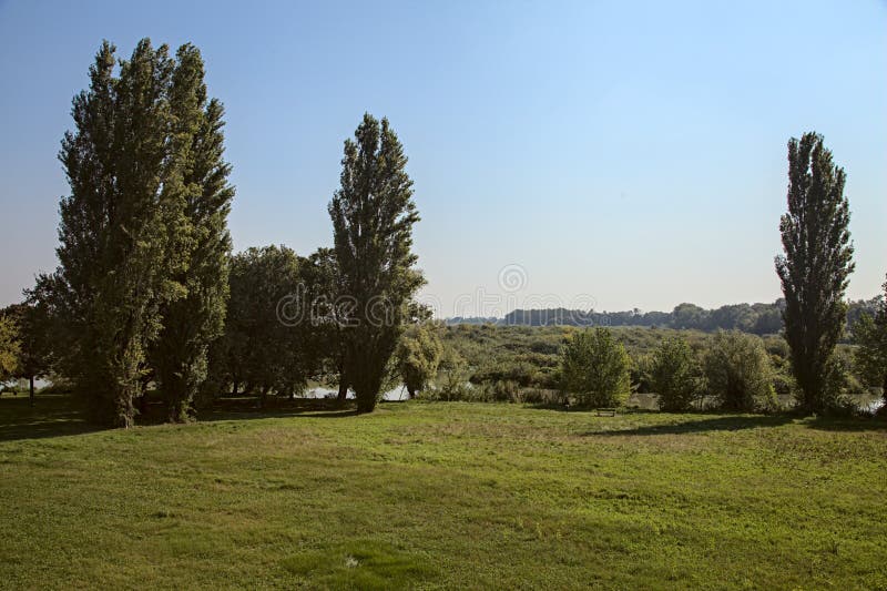 Open Space in a Park by the Shore of a Swamp Stock Image - Image of ...