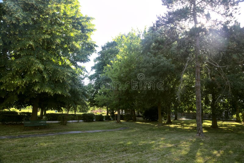 Open Space in the Shade with Benches Bordered by Trees in a Garden ...