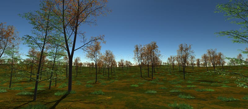 Open Spaces with Orange and Green Trees. in the Daytime Stock ...