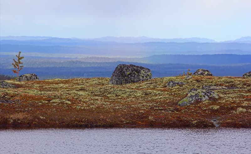 Open Spaces of Polar Region in Spring Stock Photo - Image of ...