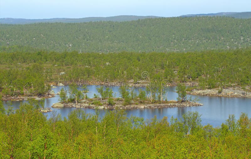 Open Spaces of Polar Region in Spring Stock Image - Image of grass ...