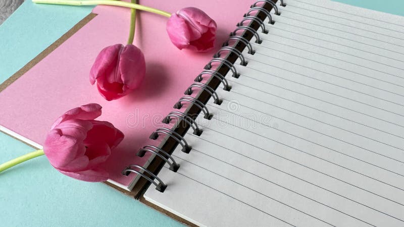 Open Spiral Notebook Lined Pages Pink Tulips Pastel Blue Background ...