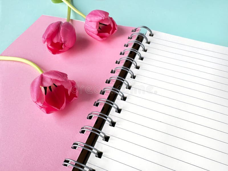Open Spiral Notebook with Lined Pages Placed on Pink and Blue ...