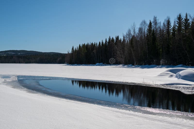 Open Spot in the Ice with Reflections of the Forest Stock Photo - Image ...