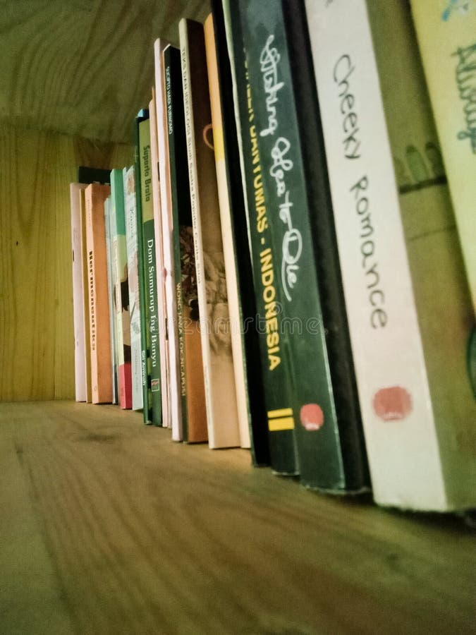 A book on the shelf editorial photography. Image of stack - 248997977