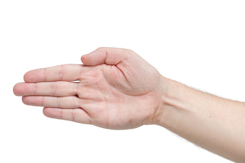 Open and Straight Hand. Isolated White Background Stock Image - Image ...