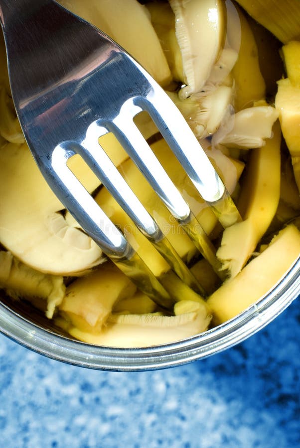Open Tin Can with Mushrooms Stock Image - Image of mushorooms ...