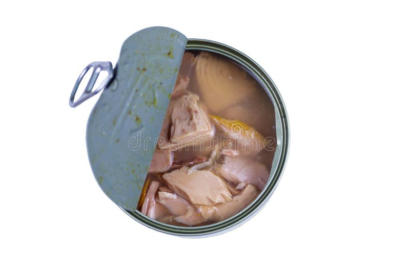 Open Tin Can of Tuna Fish Isolated on White Background Stock Image ...