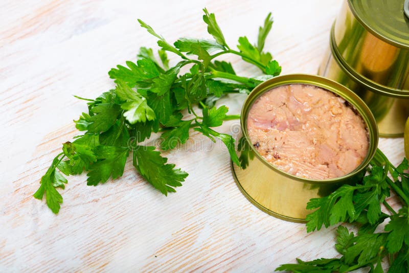 Open Tin Can of Tuna in Oil Stock Image - Image of packaged, market ...