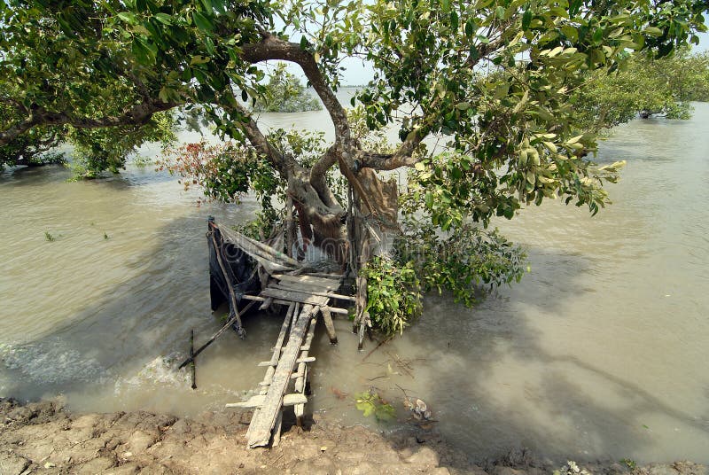 Poverty toilet stock photo. Image of meagerness, destitution - 484396
