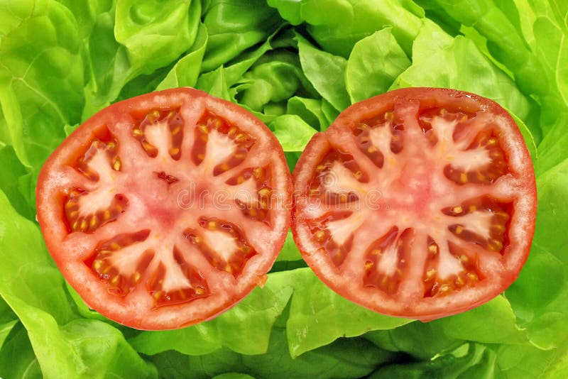 Open tomato with salad stock photo. Image of cuisine - 53353964