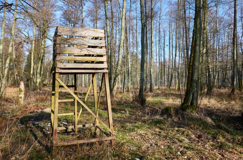 Open Top Hunting Blind in Forest Stock Image - Image of forest, stand ...