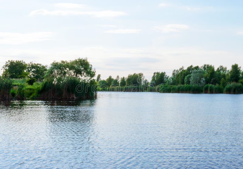 Open Views of the River with Green Trees Stock Photo - Image of ...